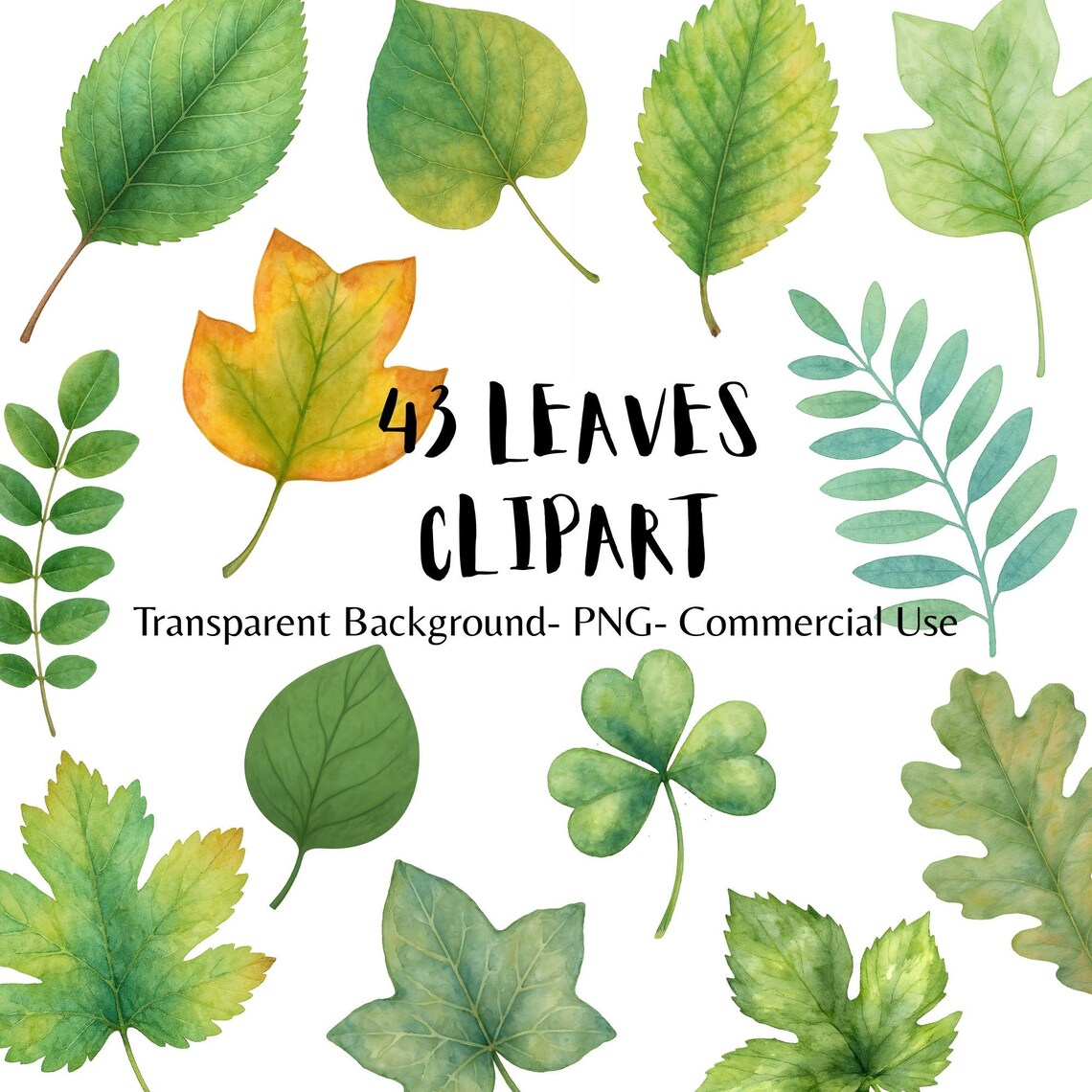 43 Leaves Clipart Bundle | Watercolor Greenery Pngs | Botanical Digital ...