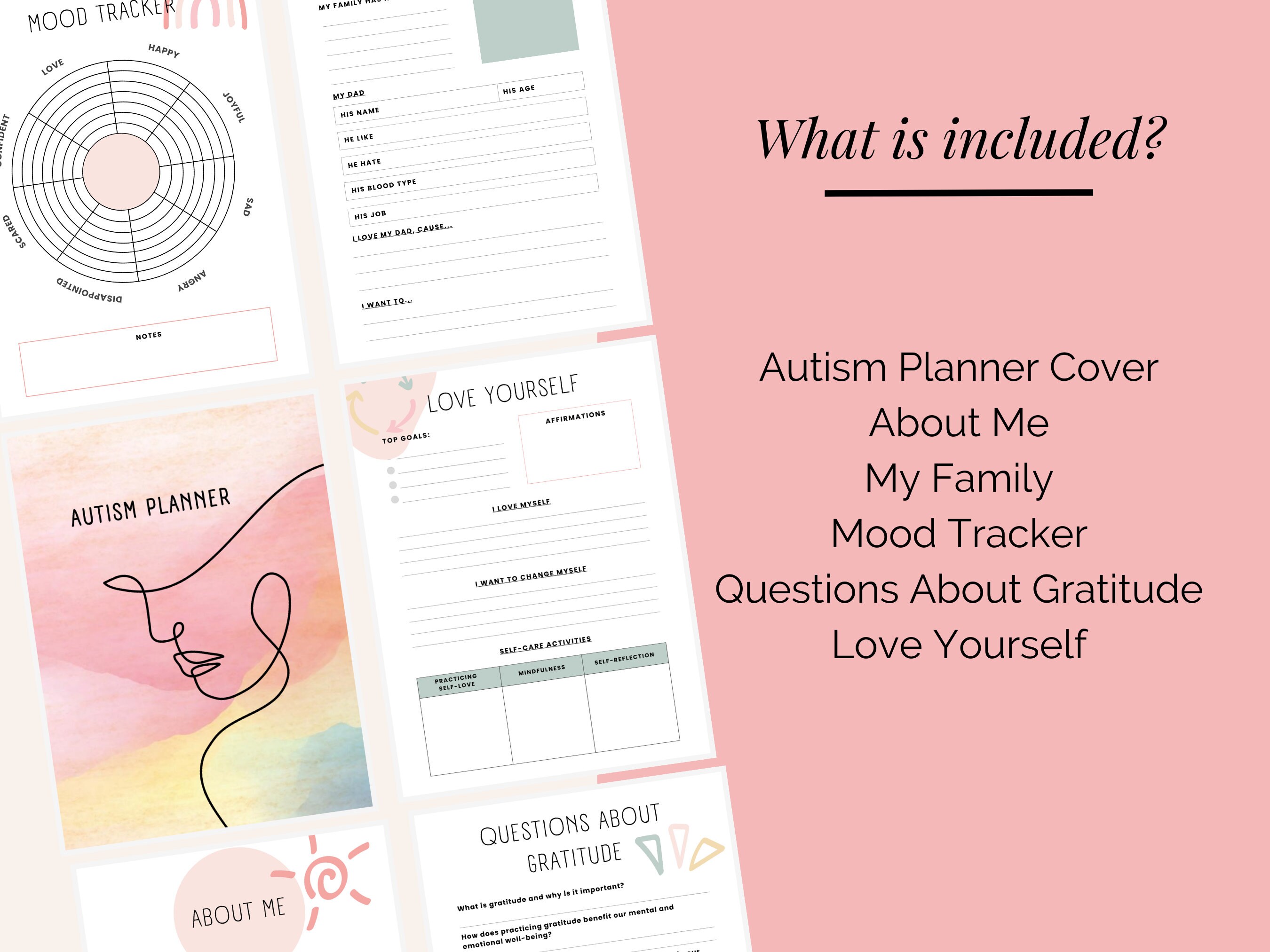 Autism Planner, Autism Planner Binder, Autism Planner Adult, Daily ...