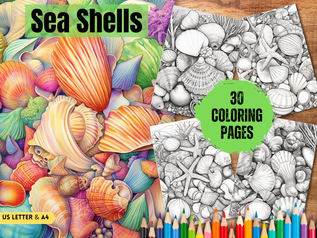 Sea Shell Coloring Pages, Stress Relief Printable, Ocean Scene, Beach ...