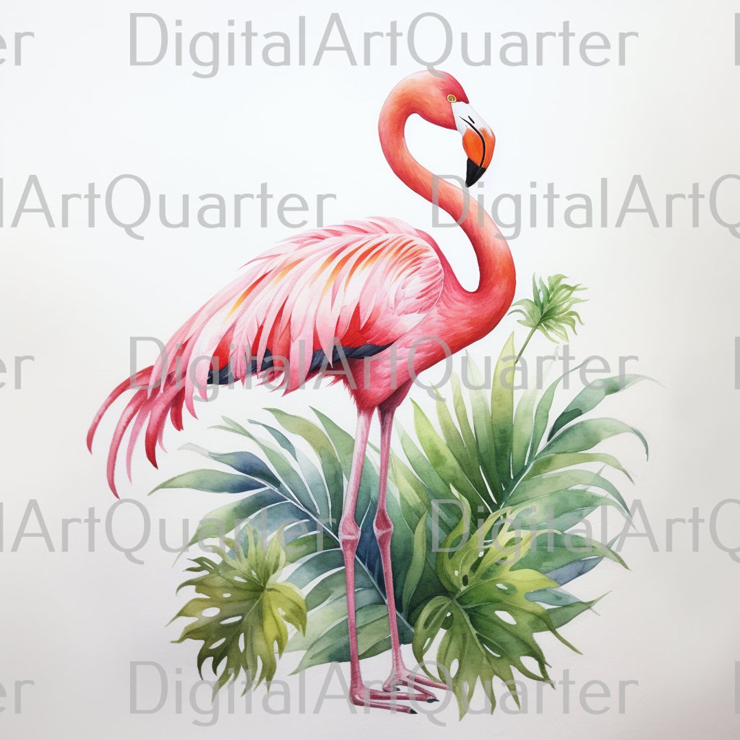 5 Different Flamingo Motifs, Colorful and High Contrast, Watercolor ...