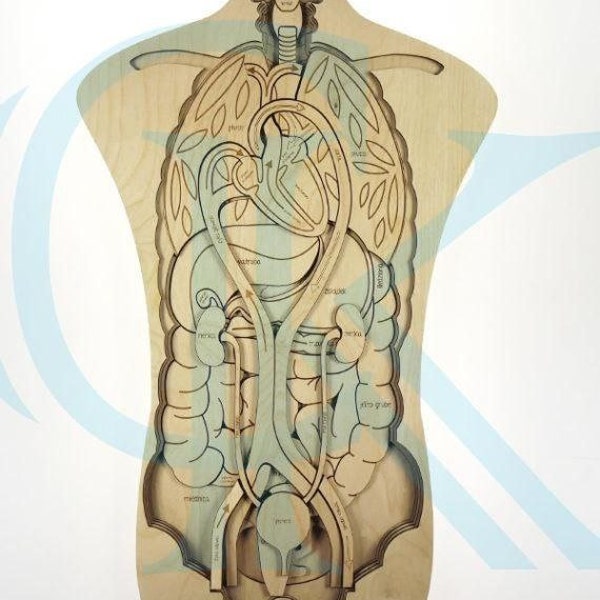 Laser Cut Models - Etsy