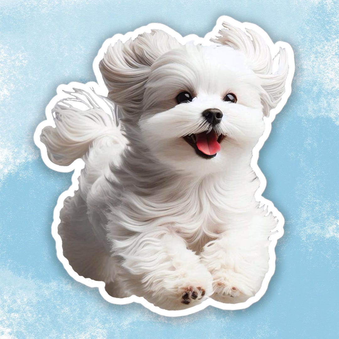 Happy Maltese Sticker, Cute Dog Water Bottle Sticker, Laptop Sticker - Etsy
