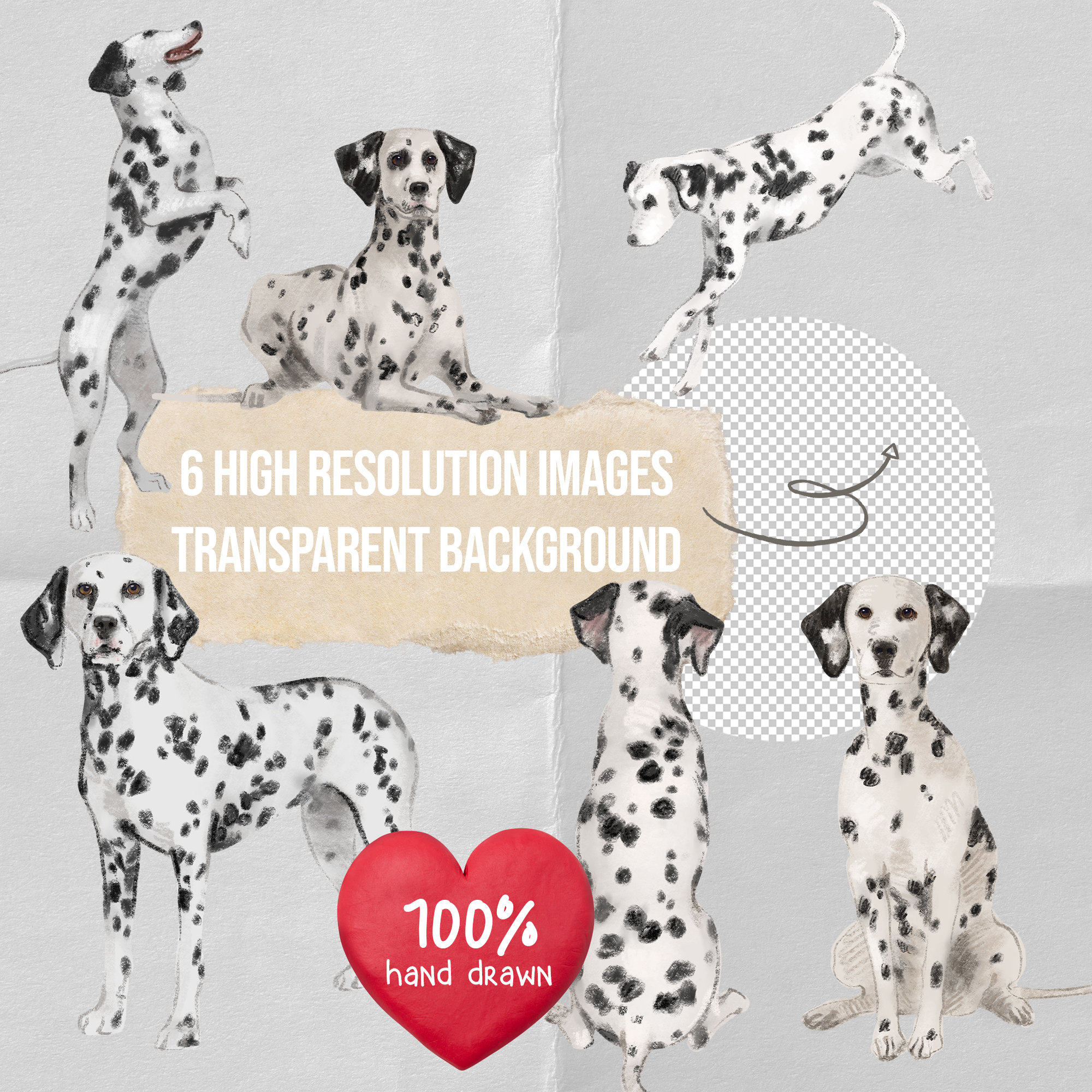 HAND DRAWN Dalmatian Clipart Bundle, Dog Png Bundle, Dog Clip Art - Etsy