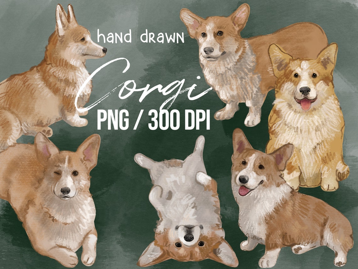 HAND DRAWN Corgi Clipart Bundle, Welsh Corgi Illustration Dog Clipart ...