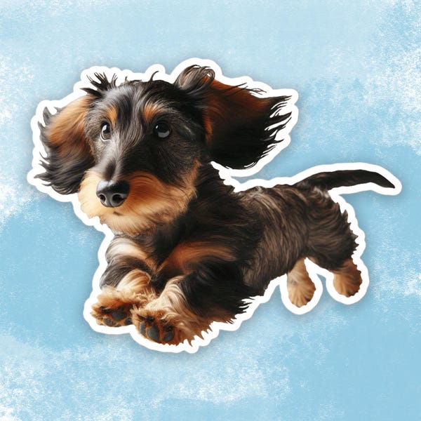 Teckel sticker - Etsy Nederland