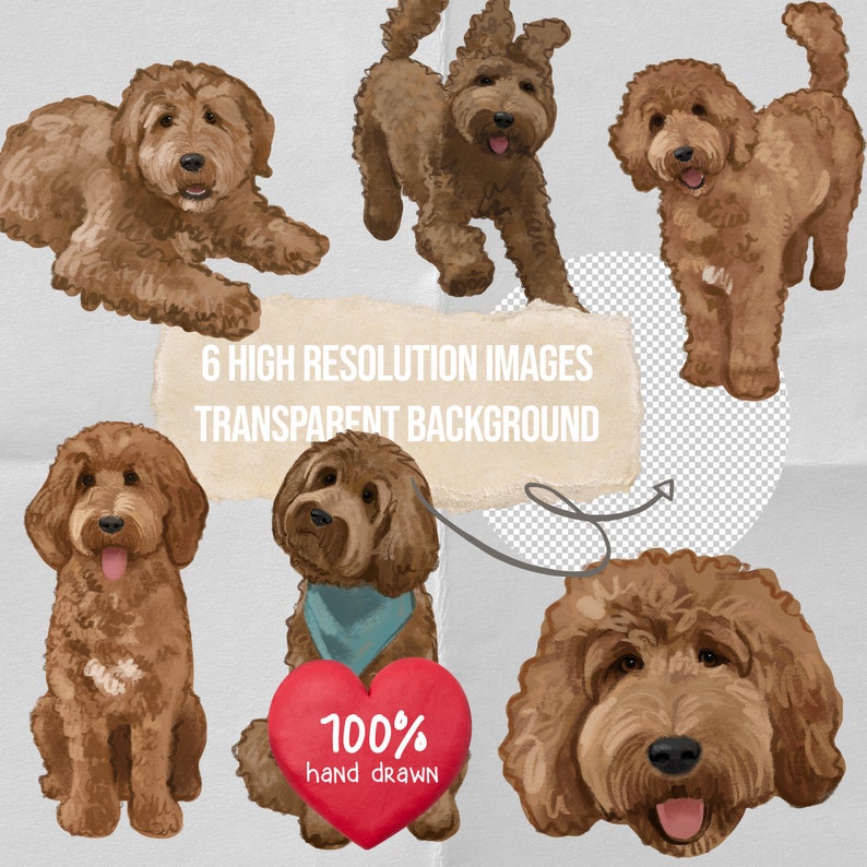 HAND DRAWN Labradoodle Clipart Bundle, Golden Doodle Illustration Dog ...