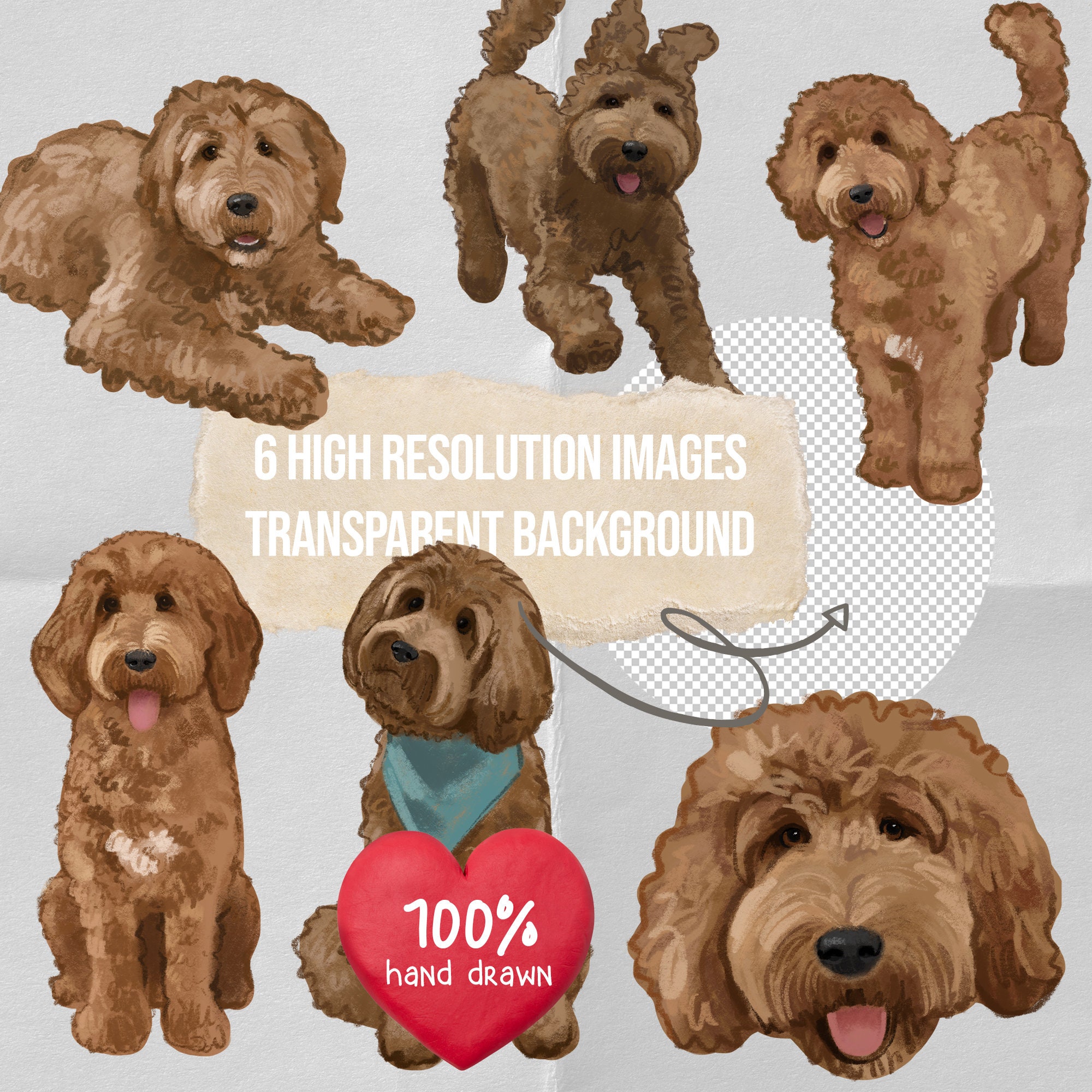 HAND DRAWN Labradoodle Clipart Bundle, Golden Doodle Illustration Dog ...