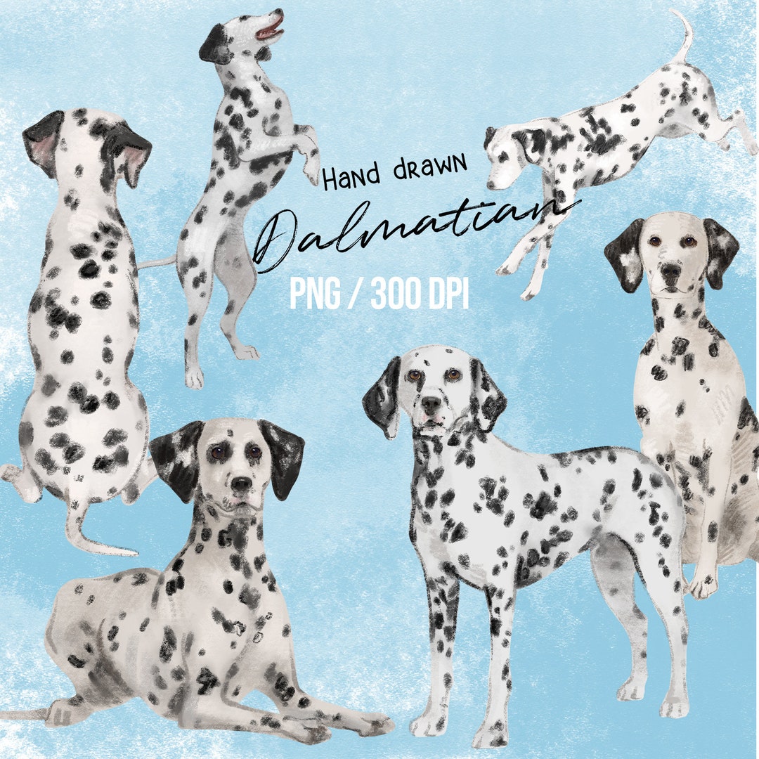 HAND DRAWN Dalmatian Clipart Bundle, Dog Png Bundle, Dog Clip Art - Etsy