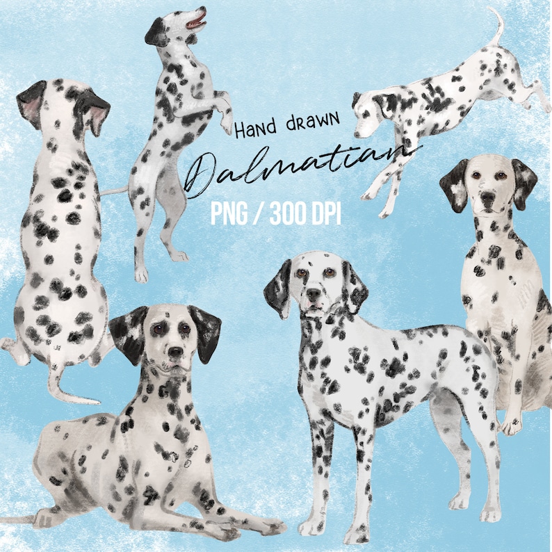 HAND DRAWN Dalmatian Clipart Bundle, Dog Png Bundle, Dog Clip Art - Etsy