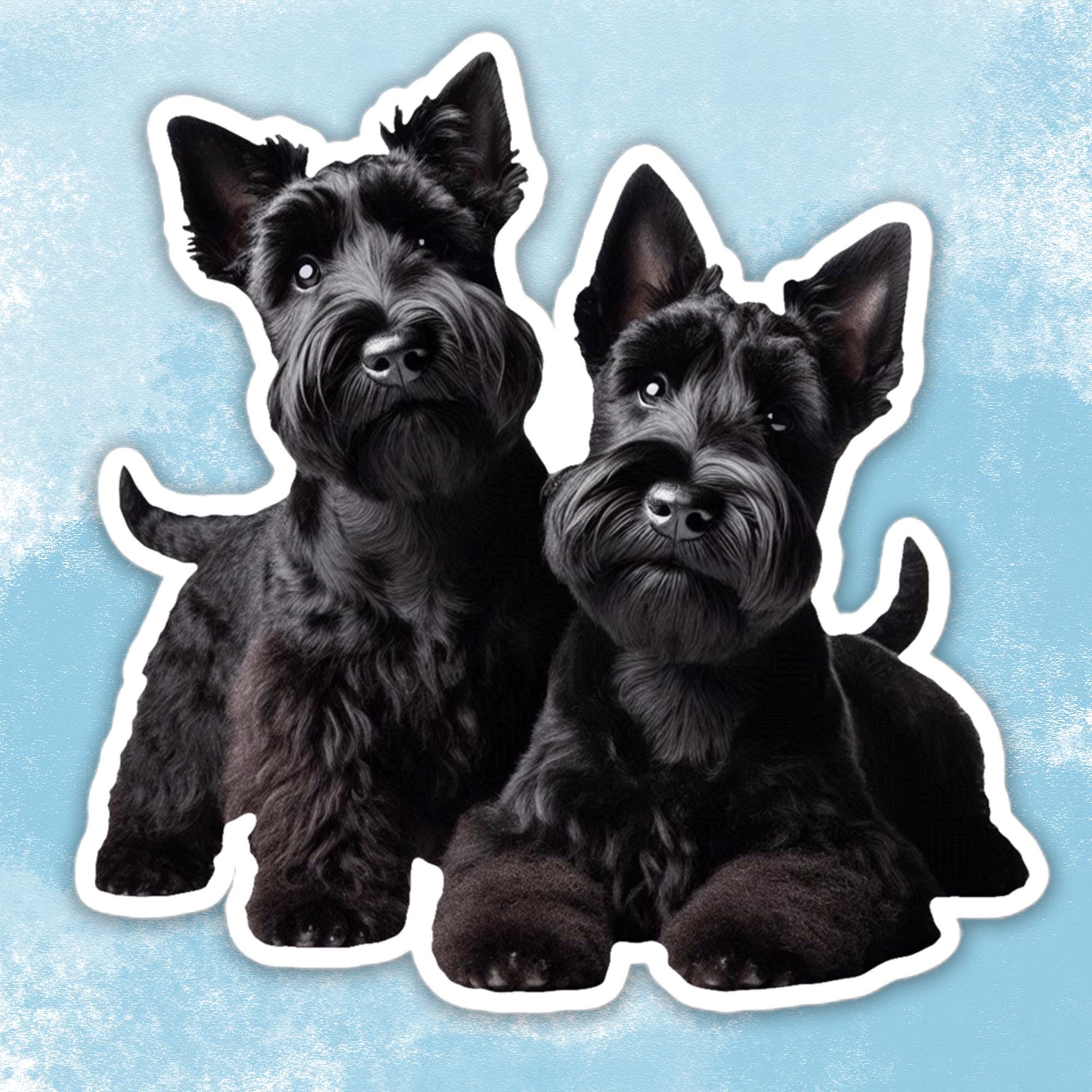 Two Scottie Dogs Sticker, Scottish Terrier Sticker, Dog Water Bottle ...