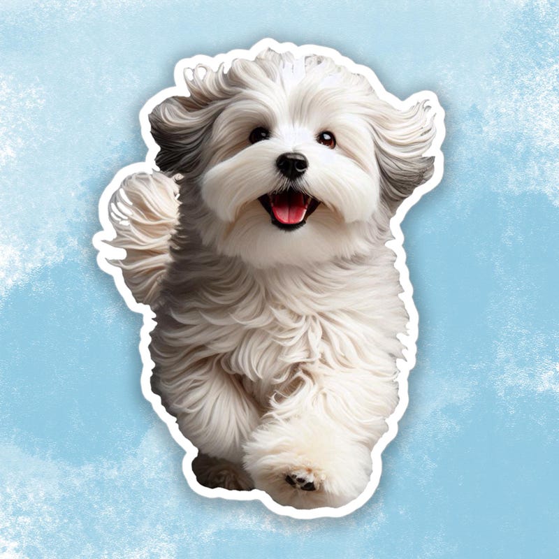 Havanese Stickers - Etsy
