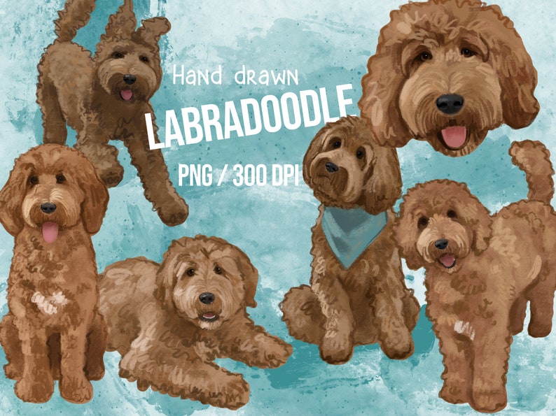 HAND DRAWN Labradoodle Clipart Bundle Golden Doodle - Etsy