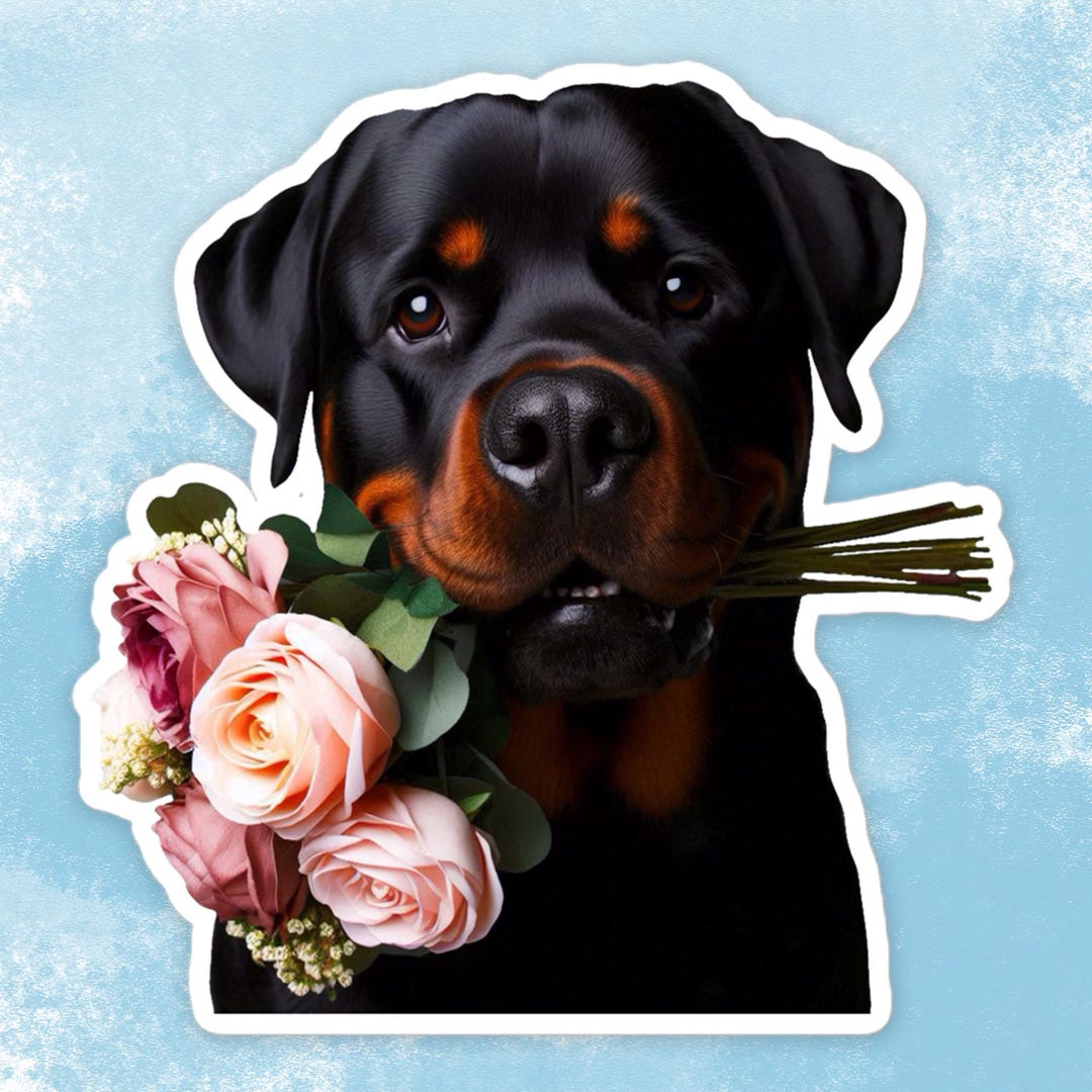 Rottweiler Sticker, Cute Dog Water Bottle Sticker, Laptop Sticker - Etsy