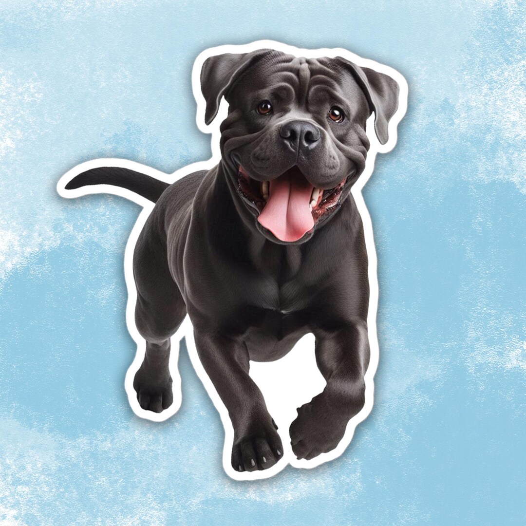Happy Cane Corso Sticker, Cute Dog Water Bottle Sticker, Grey Cane ...