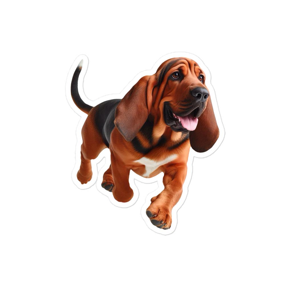 Bloodhound Sticker, Dog Water Bottle Sticker, Laptop Sticker - Etsy