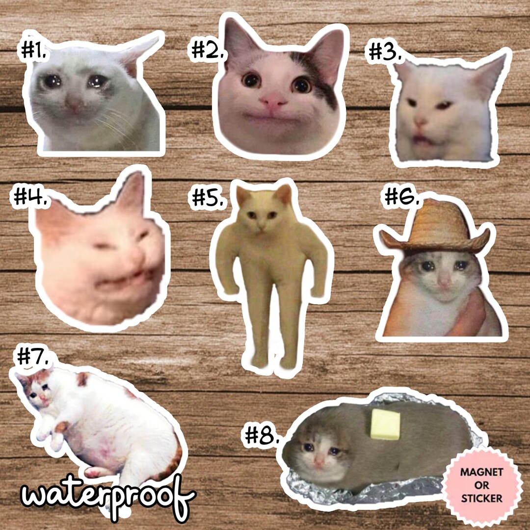 Funny Cat Meme Sticker Pack, Viral Internet Cats, Waterproof Vinyl ...