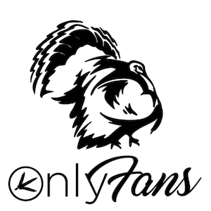 Only Fans (old Logo) Turkey Decal - Etsy