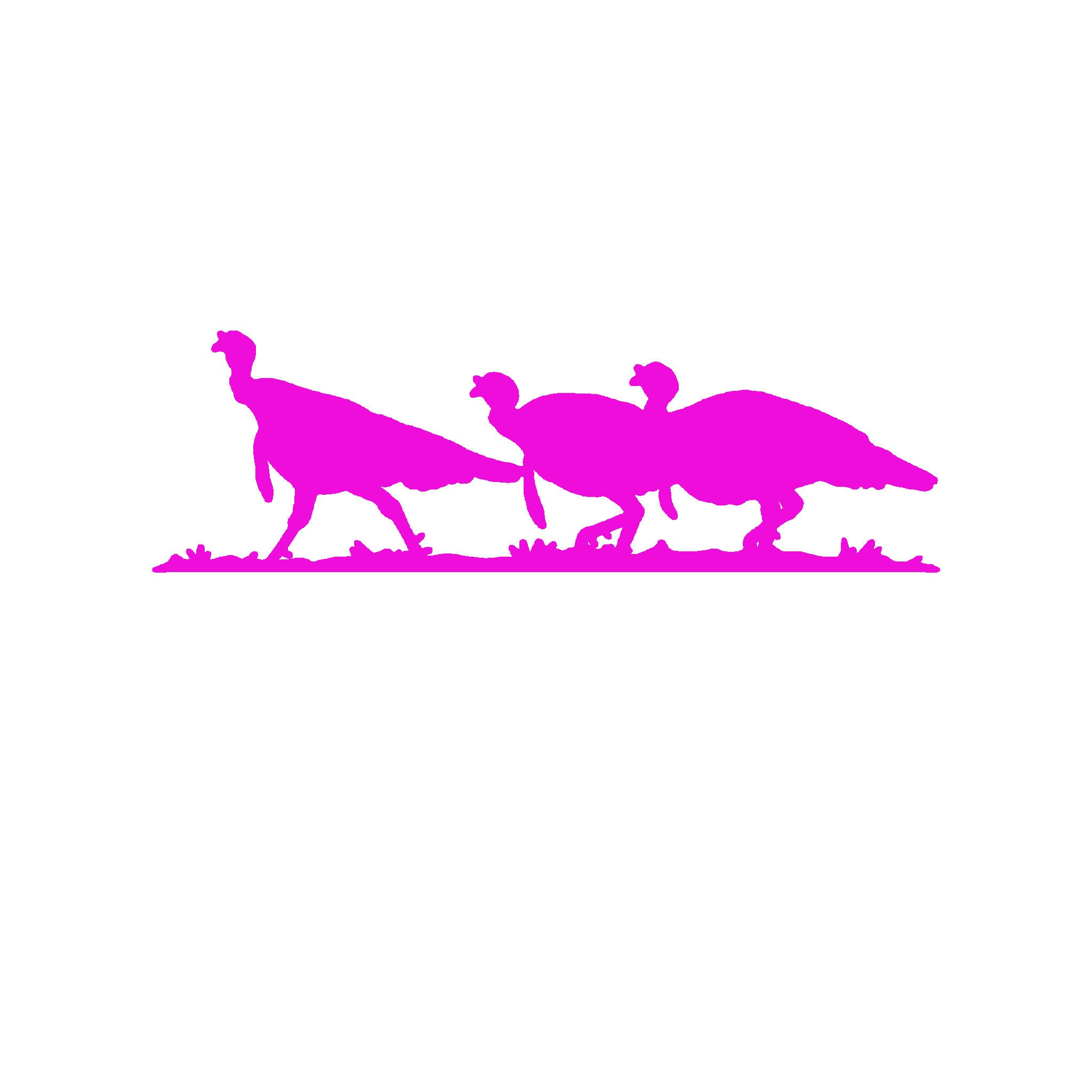 Turkey Decal - Etsy