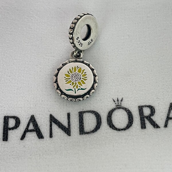Pandora Silver Charm - Etsy