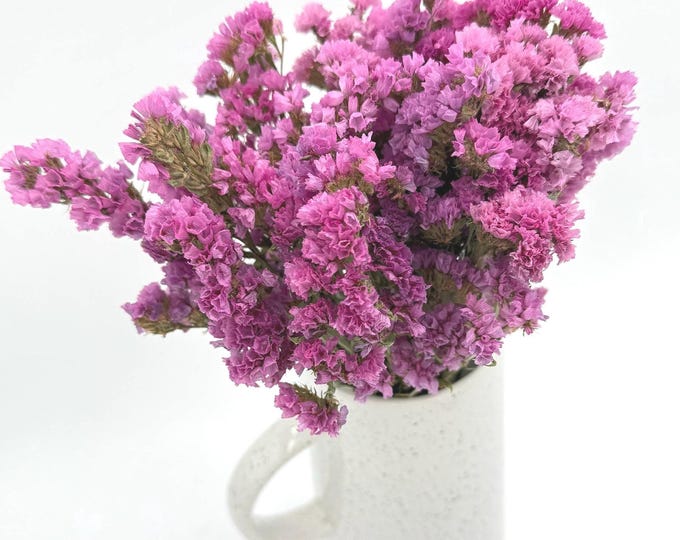 Preserved Pink Statice 10 Stem Bundle Great for Crafting, Arrangements ...