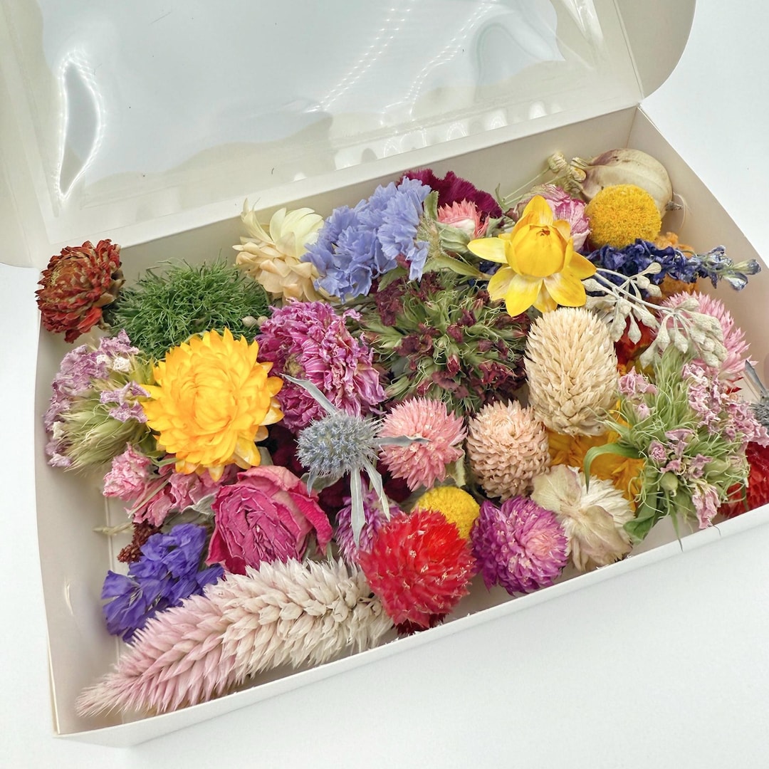 Dried Flower Craft Box | Mixed Colors, Textures, Variety | Dried Floral ...