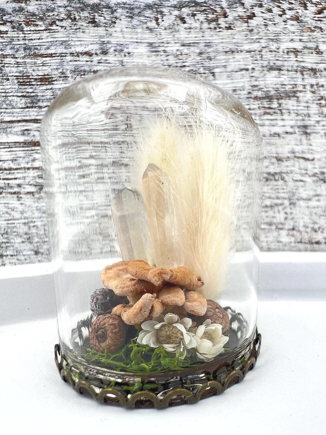 Miniature Preserved Botanical Glass Dome Terrarium With Dried Mushrooms ...