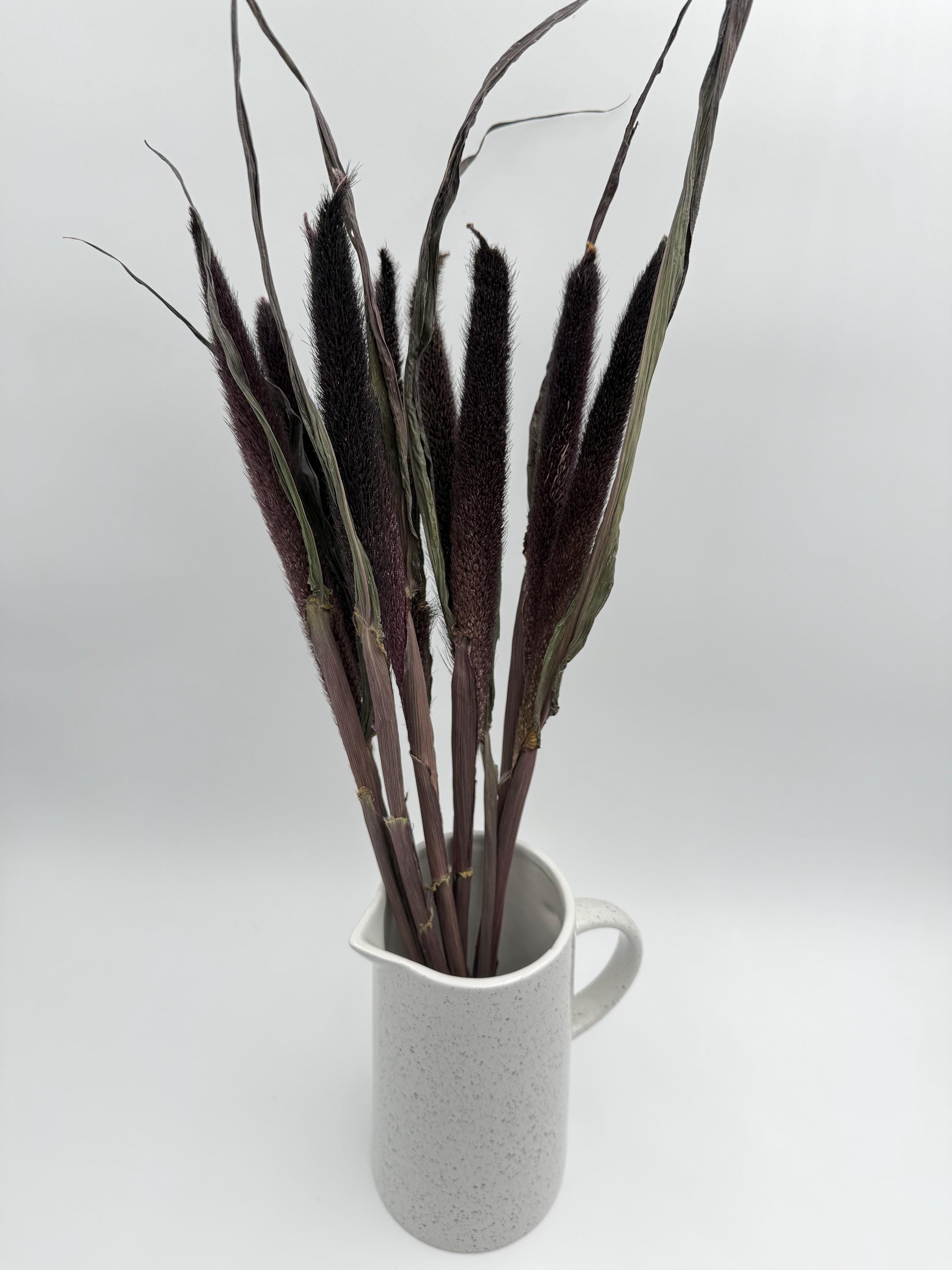 Preserved Purple Millet 10 Stem Bundle Great for Crafting, Arrangements ...