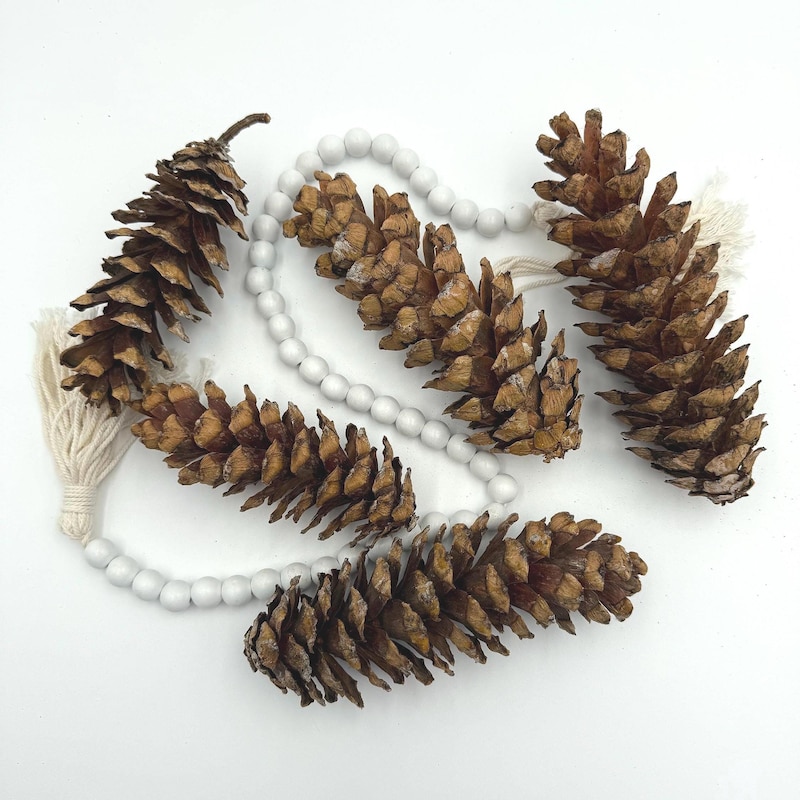 Extra Large Pine Cones - Etsy
