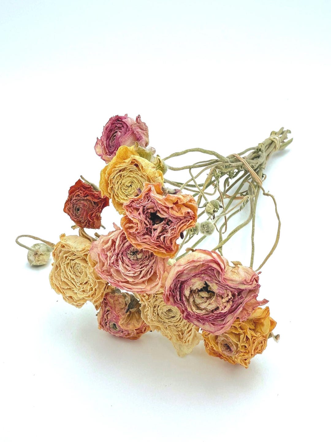 10 Stem Dried Ranunculus Bundle- Mixed Pastel Colors | Soft, Romantic ...