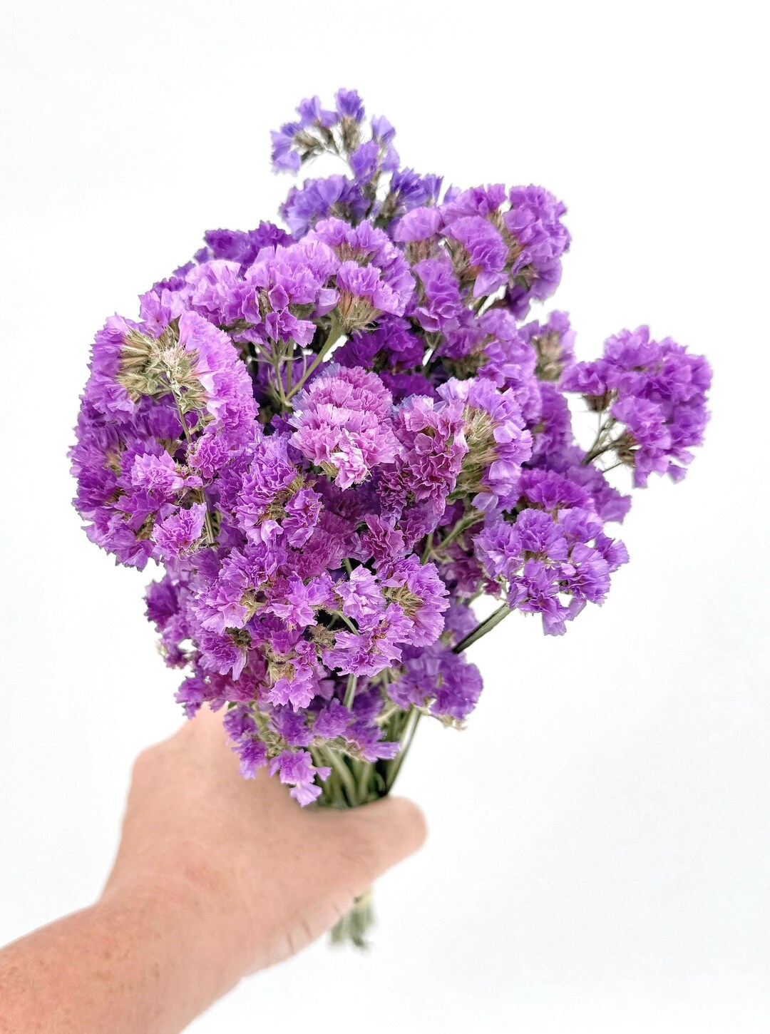 Dried Purple Statice 10 Stem Bundle, for Crafting, Arrangements ...