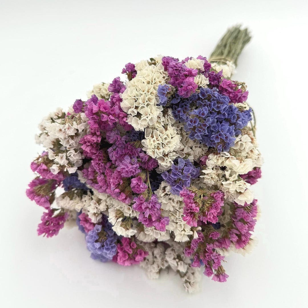 Dried Statice Bundle - XL Bouquet 20 Stems, Mixed Colors (white, Blue ...