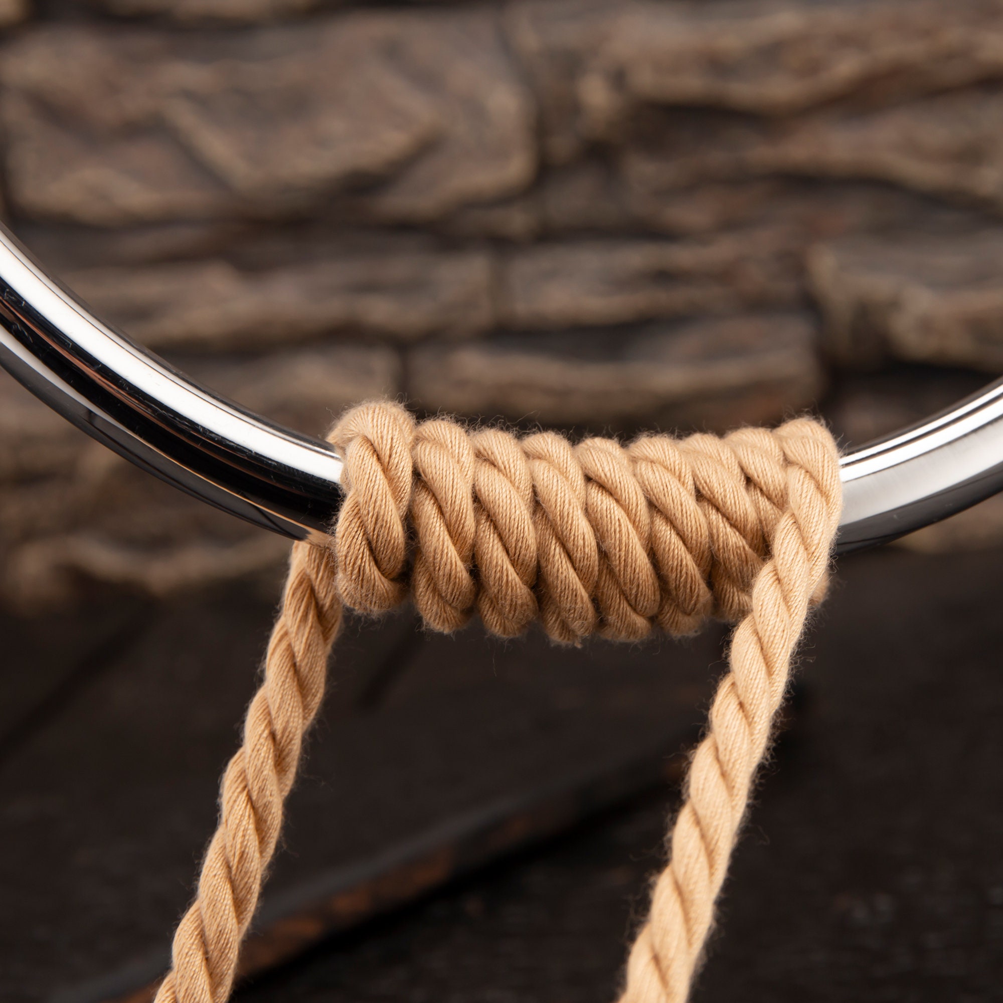 Stainless Steel-plated Steel BDSM Shibari Ring Plus: Perfect for Rope ...