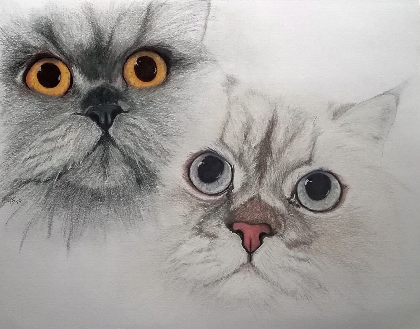 Consignment Pet Art, Pencil Drawing of Your Beloved Pet or Pets, This ...