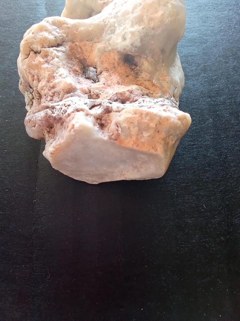 Fossilized Dinosaur Bone, Prehistoric, Jurassic - Etsy