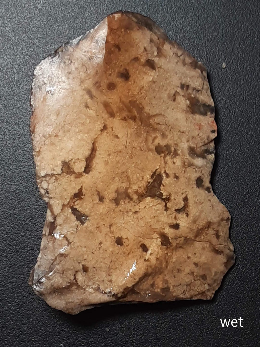 Miwok Multipurpose Blade Scraper Artifact - Etsy