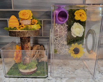 Ladybug Gnome Spider Enclosure - Etsy