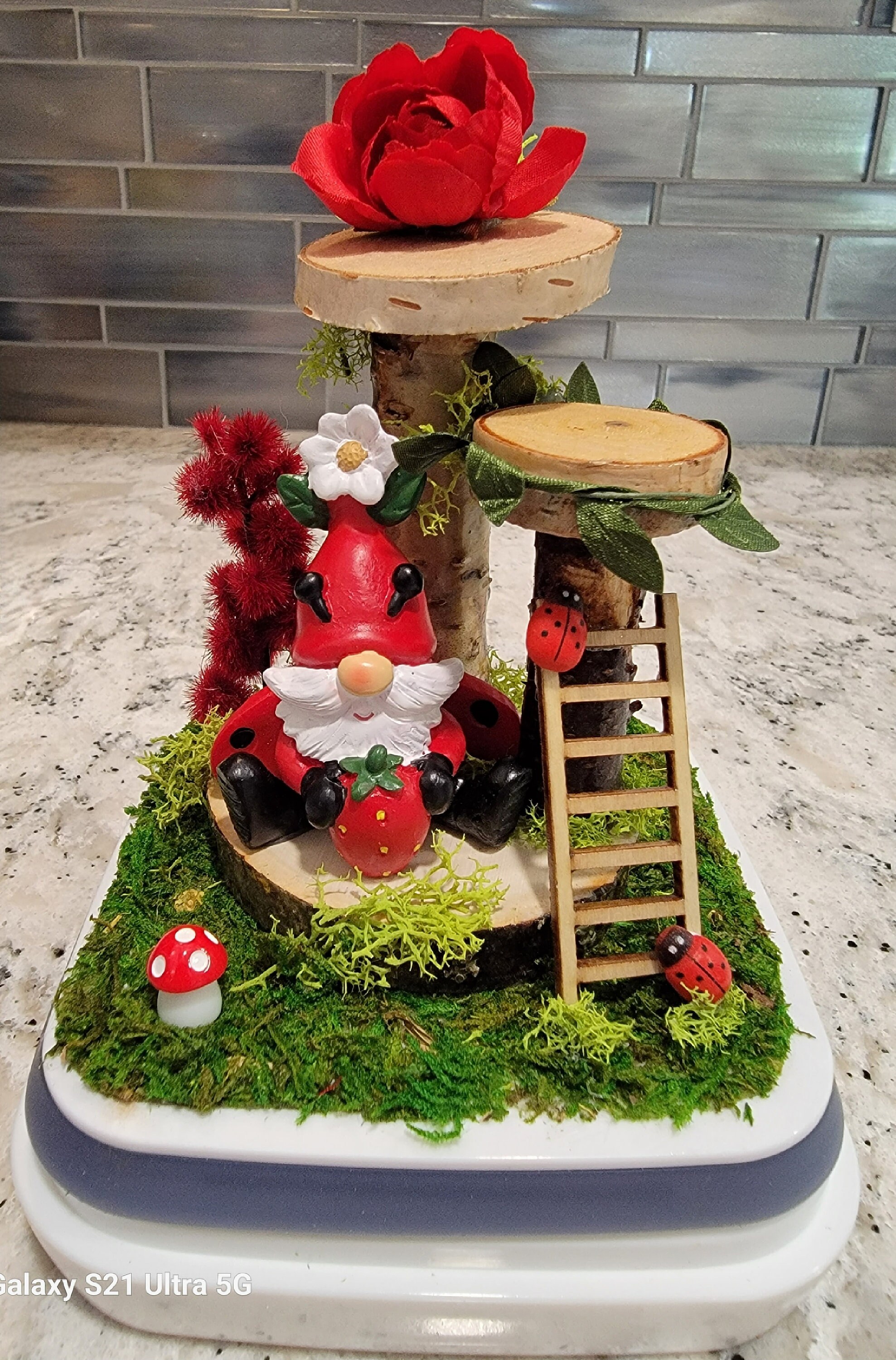 Ladybug Gnome Spider Enclosure - Etsy