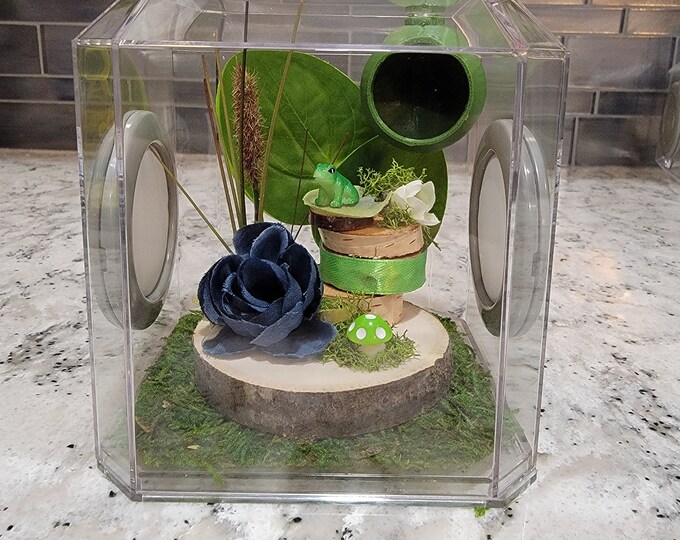 Frog Spider Enclosure - Etsy