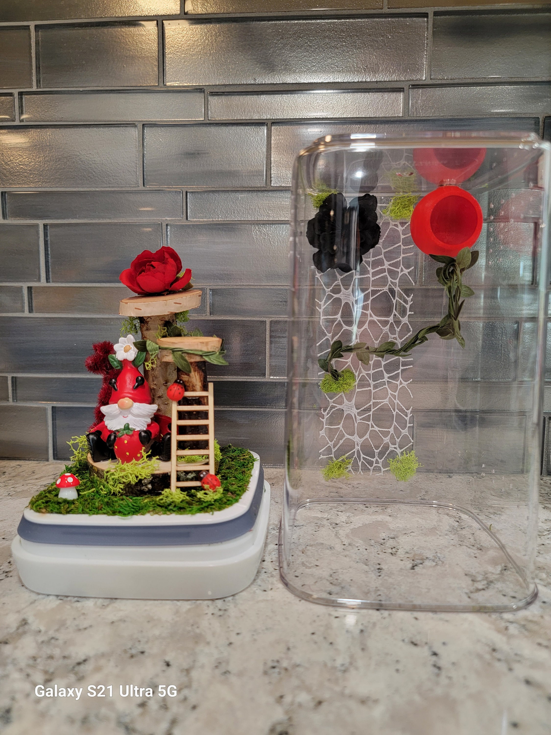 Ladybug Gnome Spider Enclosure - Etsy