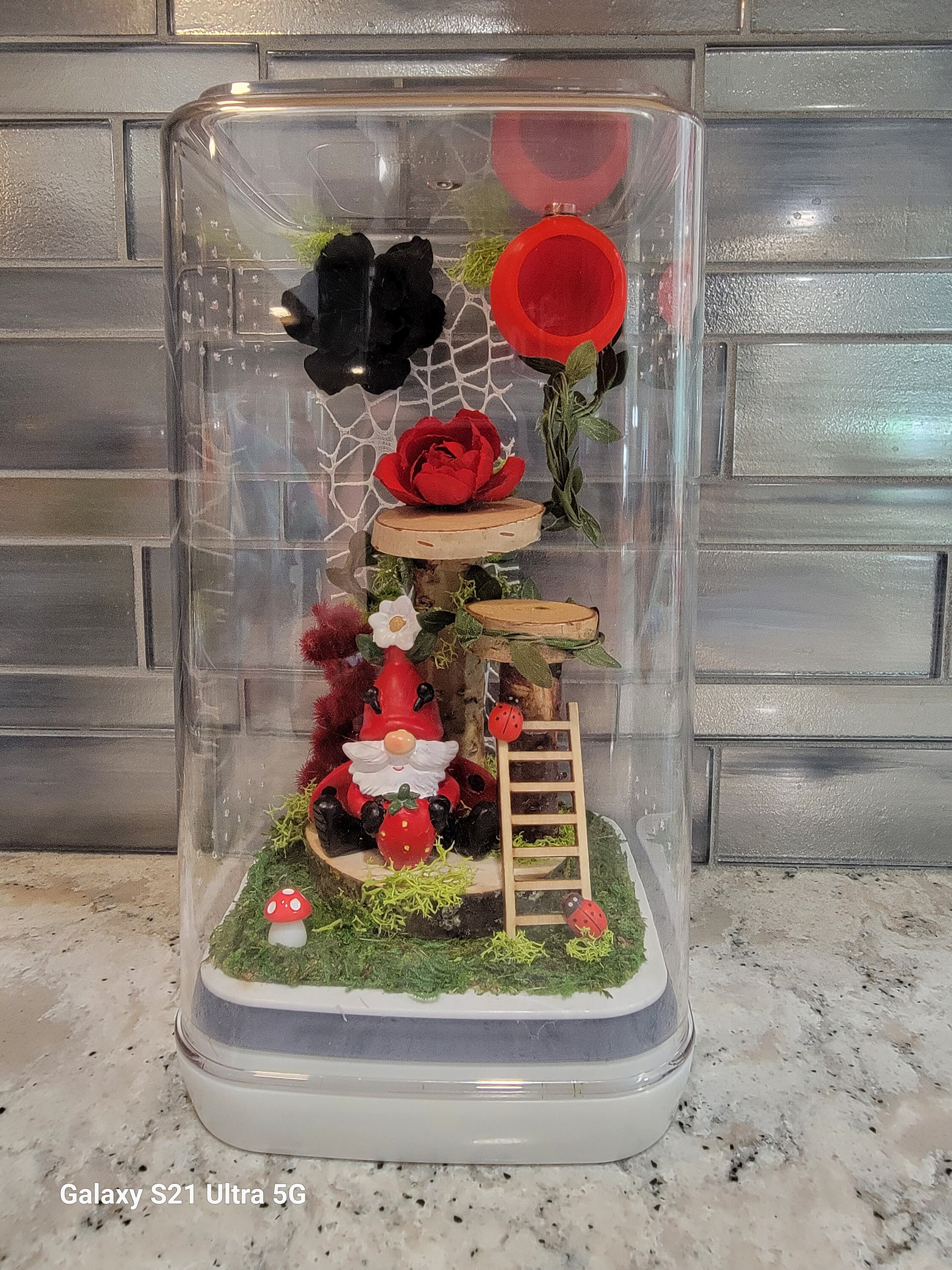 Ladybug Gnome Spider Enclosure - Etsy