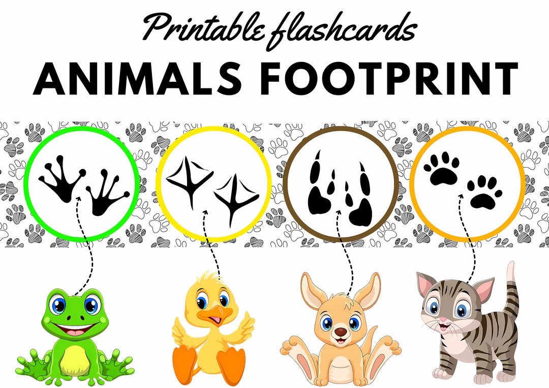 Animal Footprints Flashcards Animals Footprints Flashcards for - Etsy