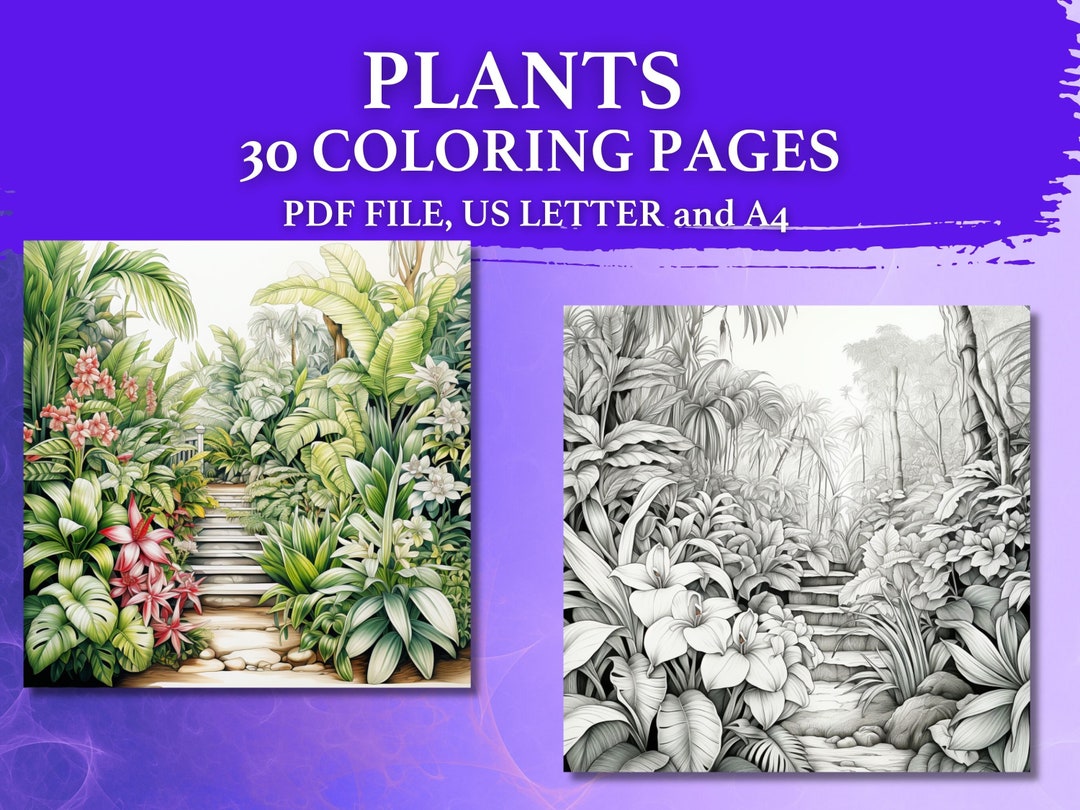 30 PLANTS Digital Coloring Pages, Plants Coloring Book, PDF File, US ...