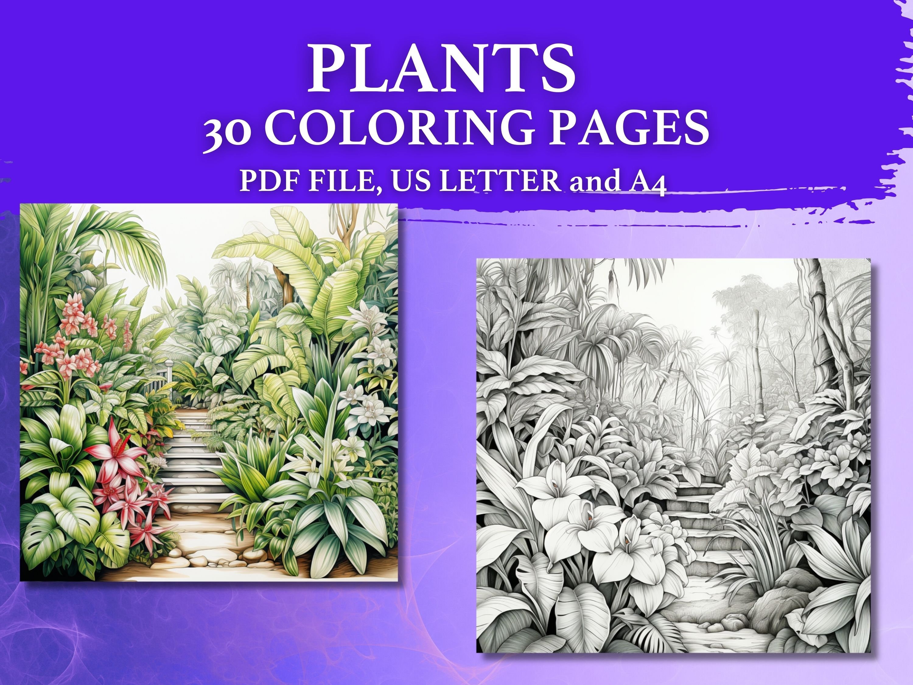 30 PLANTS Digital Coloring Pages, Plants Coloring Book, PDF File, US ...