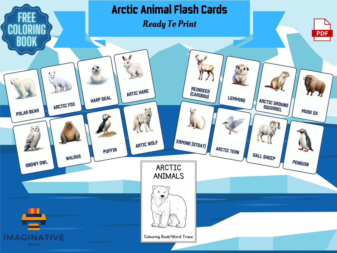 ARCTIC ANIMAL Flashcards, 16 Editable Montessori Cards, Nomenclature ...