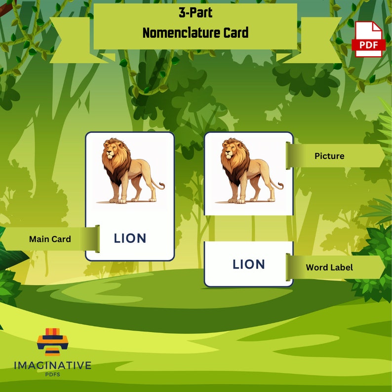 JUNGLE ANIMAL Flashcards, 24 Editable Montessori Cards, Nomenclature ...