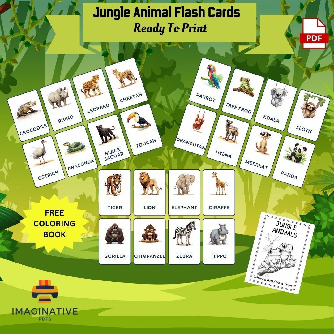 JUNGLE ANIMAL Flashcards, 24 Editable Montessori Cards, Nomenclature ...