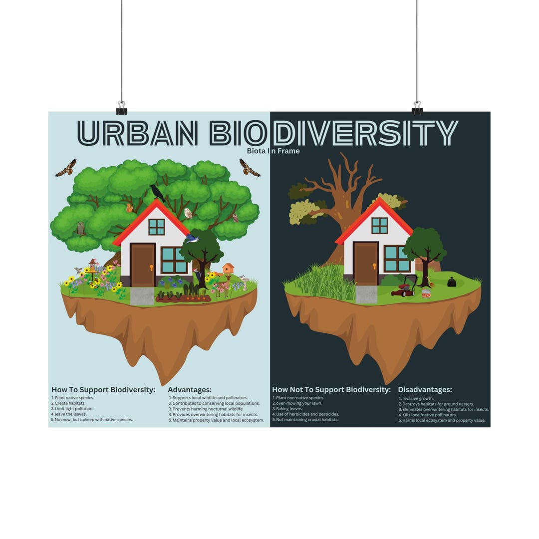 Biota in Frame: Biodiversity Educational Poster - Etsy