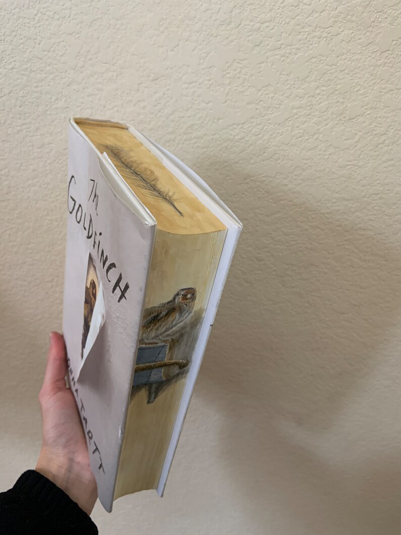 The Goldfinch Fore-edge Book Painting - Etsy