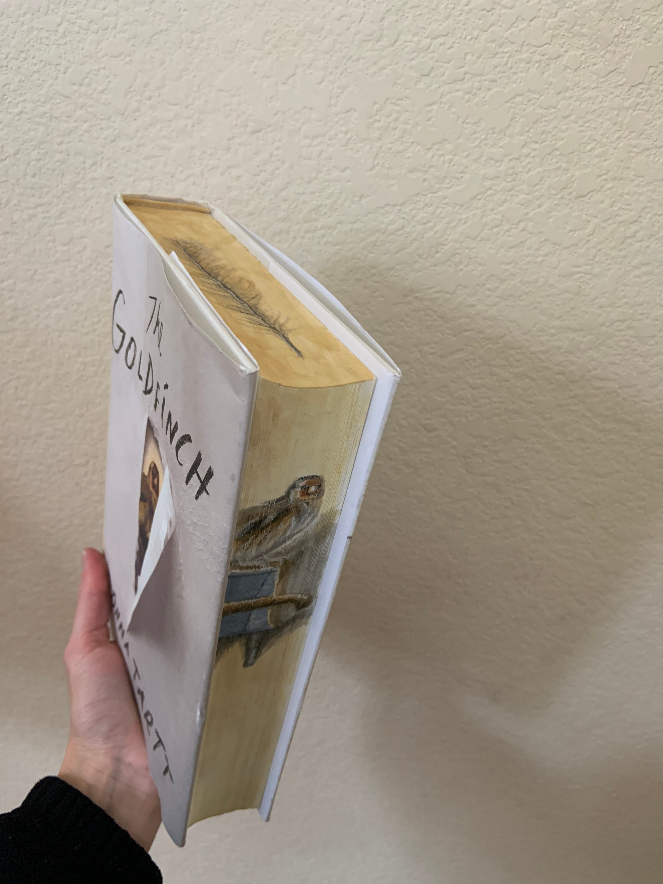 The Goldfinch Fore-edge Book Painting - Etsy