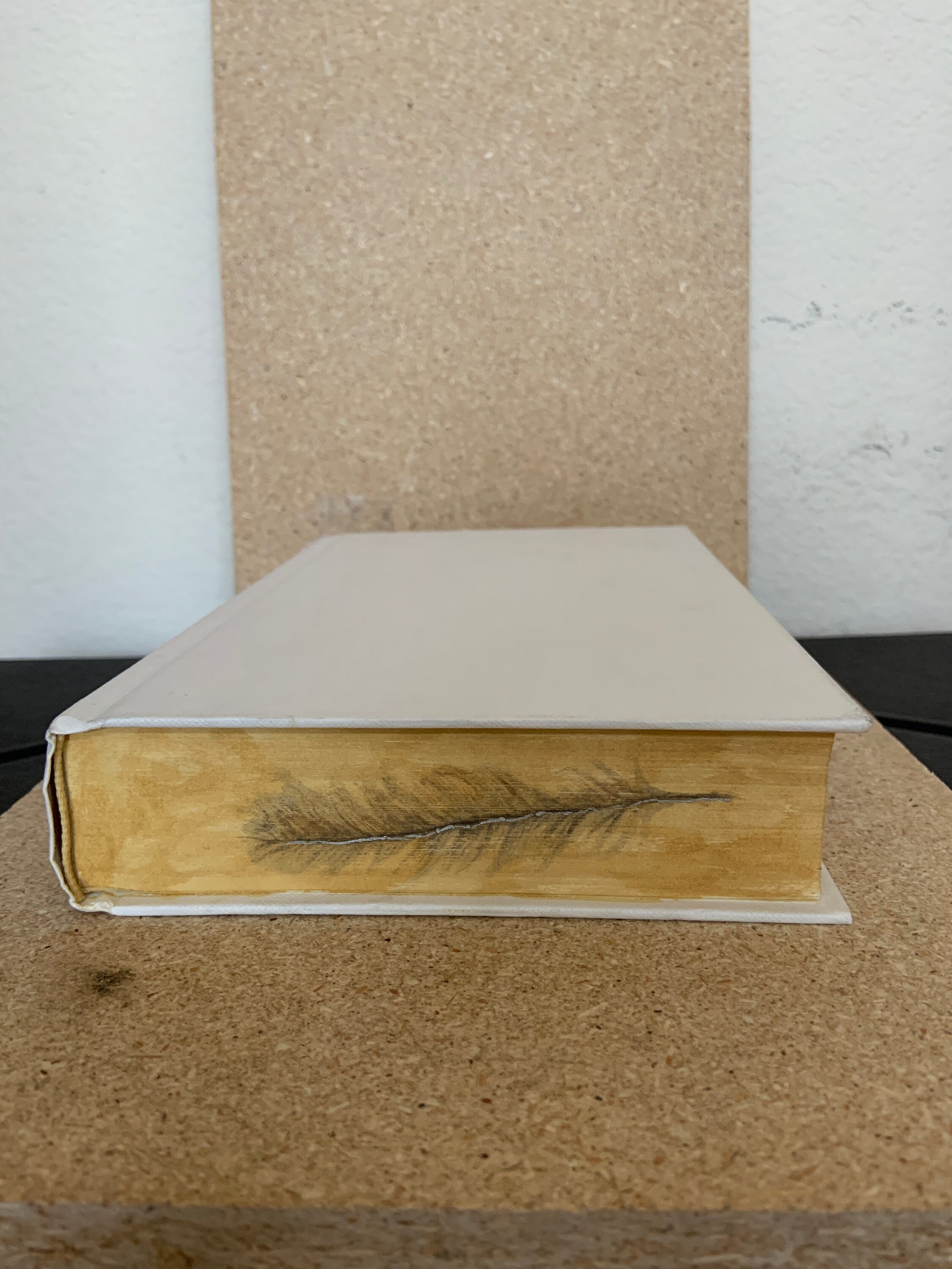 The Goldfinch Fore-edge Book Painting - Etsy